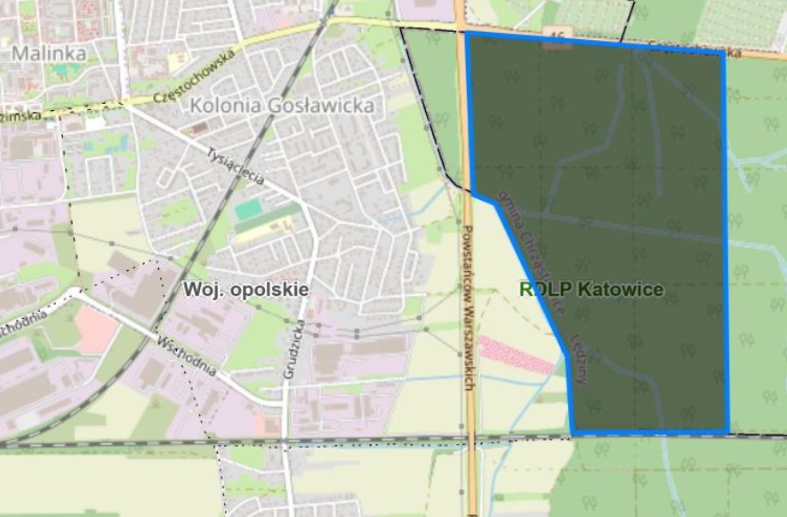 Las rekreacyjny powstanie przy granicy Opola | Miasto Opole